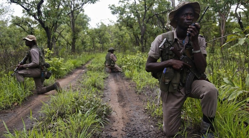 Member of Parliament Calls For Investigation of Illegal Killing by ...